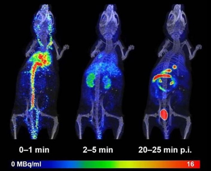 Pre-Clinical Imaging – KARA