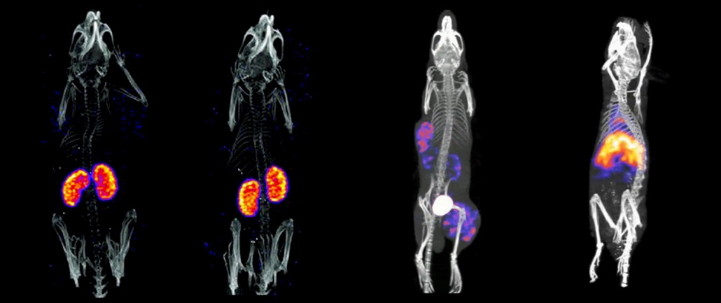 Pre-Clinical Imaging – KARA